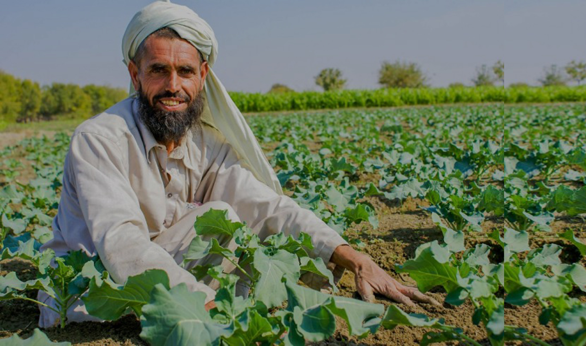 Komak Development & Aid Organization – Partnering for Humanity!